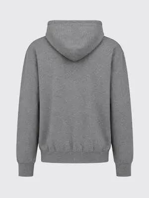 Polo Ralph Lauren Cotton Hoodie With Embroidered Pony Logo