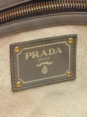 Prada 2010-2026 Soft Calf Satchel