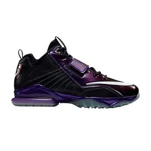 Nike Zoom Cj Trainer 2
