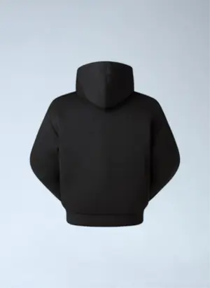 The North Face Insulated Hooded Sweatshirt