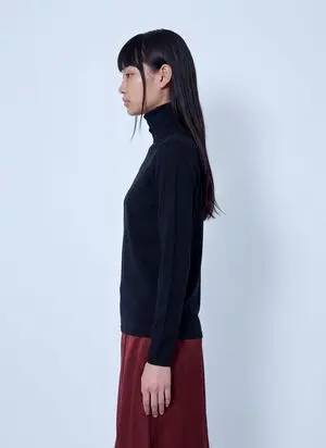 Max Mara Turtleneck Wool Sweater