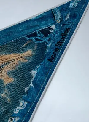 Acne Studios Printed Silk Scarf