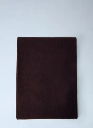Max Mara Fringed Wool Scarf - Brown