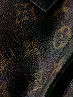 LOUIS VUITTON Palm Springs Monogram Canvas Pm Backpack - Brown