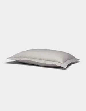 Cozy Earth Soft-wash Cotton Quilted Shams Dew