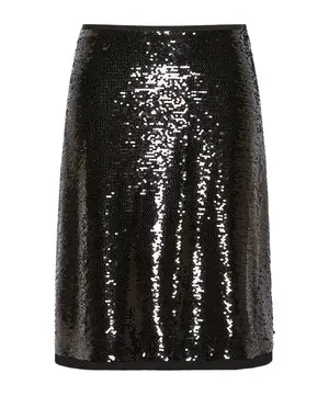 Max Mara Short Jersey And Sequin Skirt