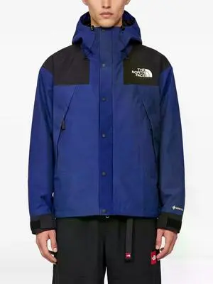 The North Face Gore-tex® Mountain Jacket