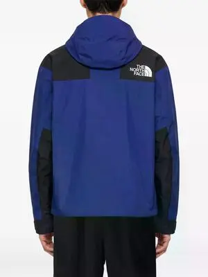 The North Face Gore-tex® Mountain Jacket