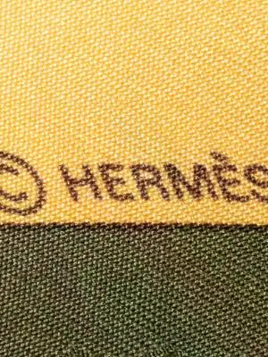 Hermès Plumes Et Grelots Silk Scarf