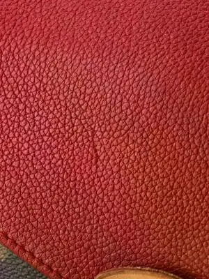 LOUIS VUITTON Pallas Chain Monogram Canvas And Calfskin Shoulder Bag