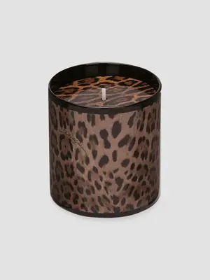 Dolce & Gabbana Patchouli Scented Candle