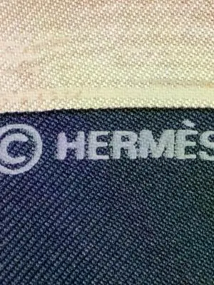 Hermès Cannes & Pommeaux Printed Scarf - Blue