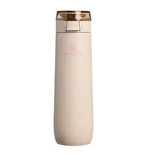 STANLEY Flowstate Spring Bottle - Silver