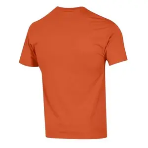 Champion Cleveland Browns Arch Over Logo T-shirt