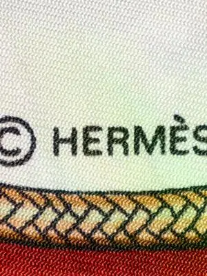 Hermès Pampa Silk Scarf