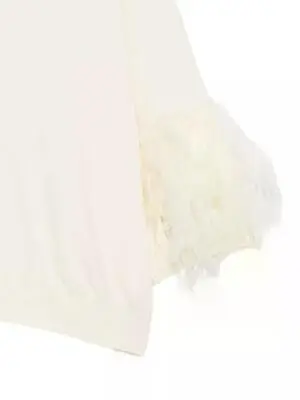 Alberta Ferretti Feather-trim Roll-neck Sweater