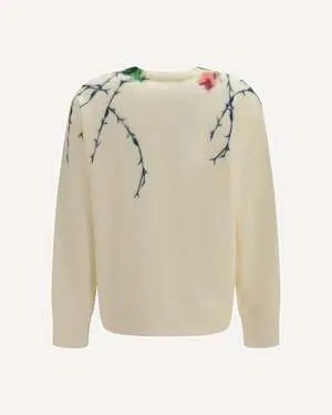 Blumarine Cahmere-blend Weater With Roe Print