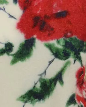 Blumarine Cahmere-blend Weater With Roe Print