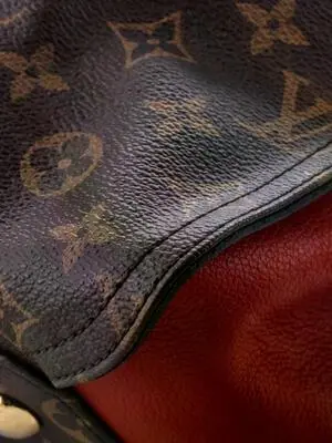 LOUIS VUITTON Gaia Handbag Monogram Canvas And Exotics Hobo Bag