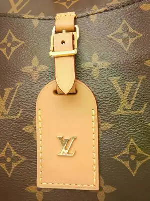 LOUIS VUITTON 2021-2026 Monogram Odeon Pm Crossbody Bag
