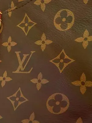 LOUIS VUITTON 2021-2026 Monogram Odeon Pm Crossbody Bag