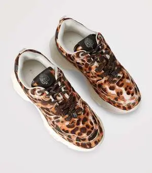 Kurt Geiger Calf Hair Leopard Starlight Runner Sneakers