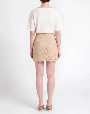 Dolce & Gabbana Mini Skirts