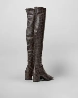 Celine Over-the-knee Stretch Boots