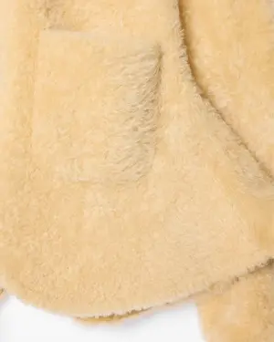 Celine Jacket In Shearling