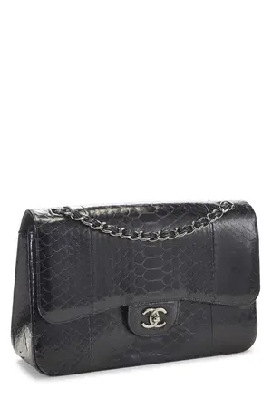 Chanel Python New Classic