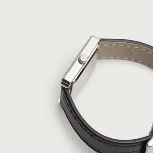 COMMON LINES Heritage Watch