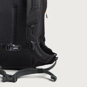 GREGORY Alpinisto Backpack 20l