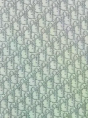 Dior Oblique Jacquard Fringed Scarf