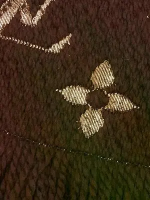 LOUIS VUITTON Logomania Scarf - Brown