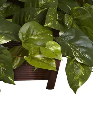 NEARLY NATURAL Pothos With Rectangle Decorative Planter - Green