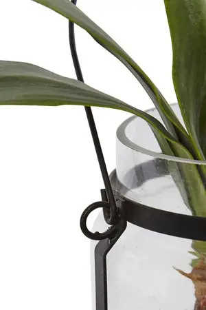 NEARLY NATURAL 24-in Amaryllis With Vase