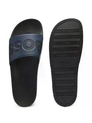 BOSS Aryeh Logo-emed Slides