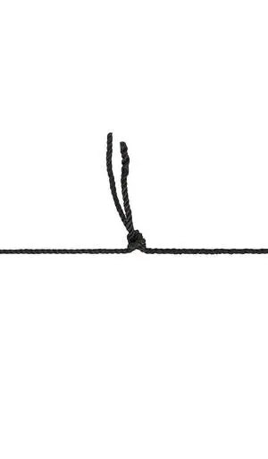 Shashi Maximes Tassel Necklace