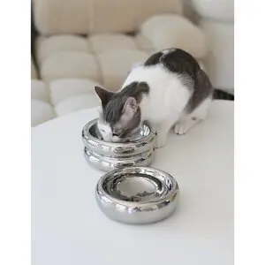 CATENARY HOME Halo Chrome Elevated Pet Bowl