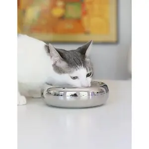 CATENARY HOME Halo Chrome Ceramic Pet Bowl