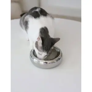 CATENARY HOME Halo Chrome Ceramic Pet Bowl