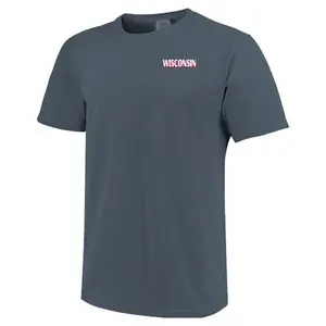IMAGE ONE Wisconsin Badgers Comfort Colors Team Statue T-shirt