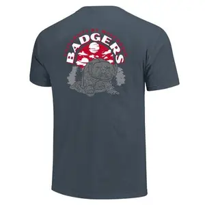 IMAGE ONE Wisconsin Badgers Comfort Colors Team Statue T-shirt