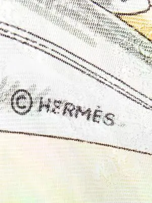 Hermès L'instruction Du Roy Scarf - Neutrals