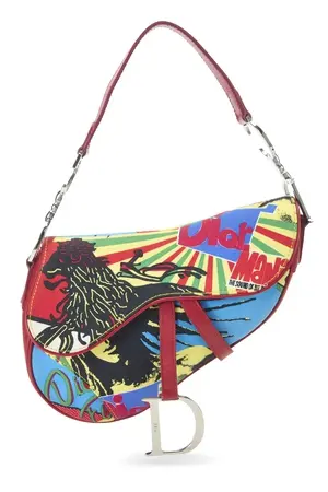 Dior Multicolor Rasta Mania Saddle Bag