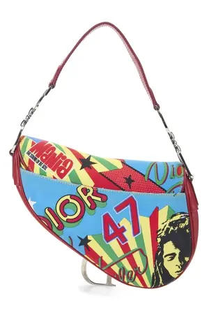 Dior Multicolor Rasta Mania Saddle Bag
