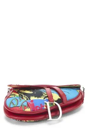Dior Multicolor Rasta Mania Saddle Bag