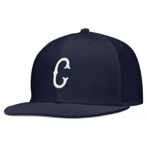 Nike Uconn Dri-fit College Fitted Hat