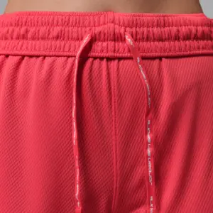 JORDAN Sport Mesh Shorts