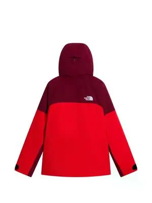 The North Face Two-tone Hooded Jacket